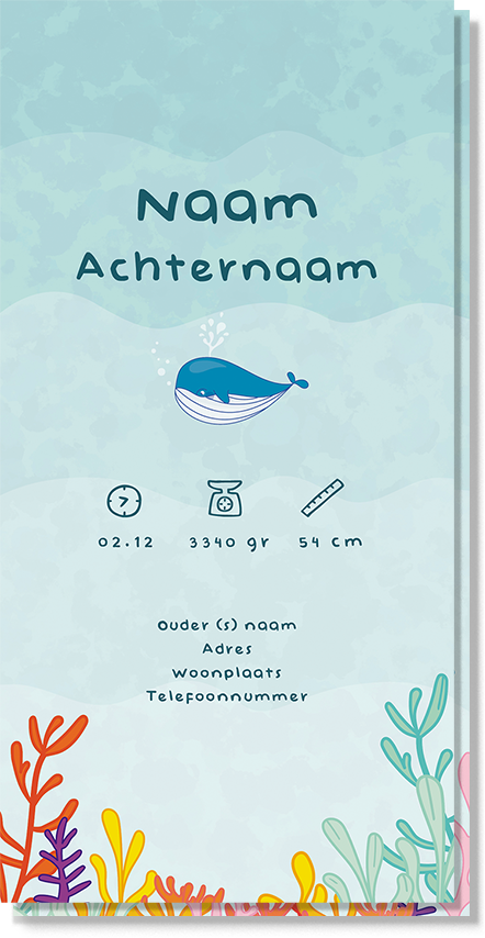 Unieke kaartjes | Liefs Jansje | Unieke en bijzondere geboortekaartjes